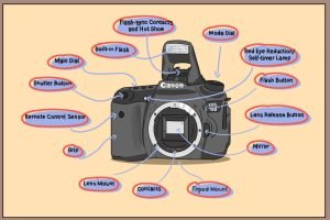 Main Camera Parts (Features of a Camera Explained)